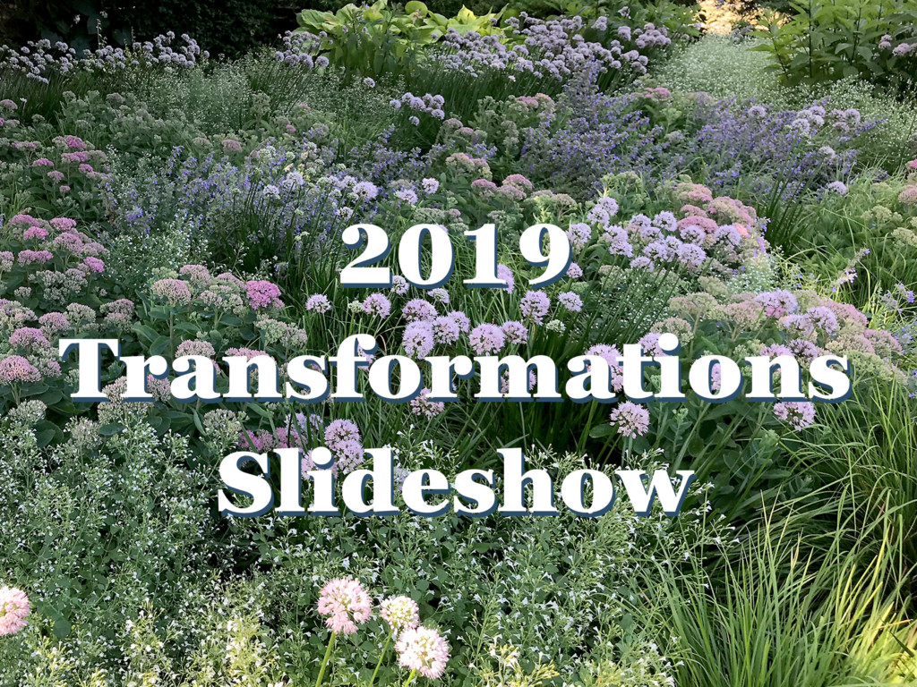 Looking back on 2019 - Nature's Perspective Landscaping